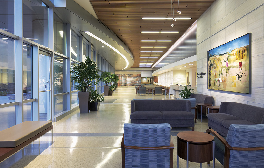 Award of Excellence: UC San Diego Health System's Sulpizio ...