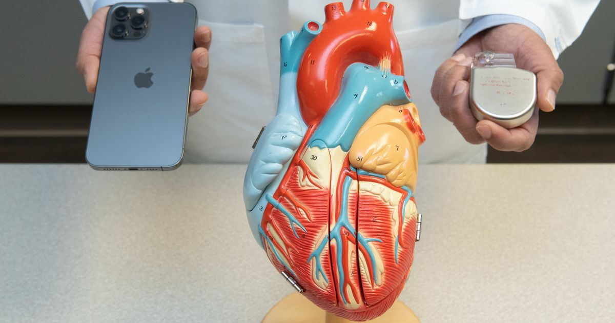 iPhone 12 can disable implanted cardiac devices, cardiologists warn ...