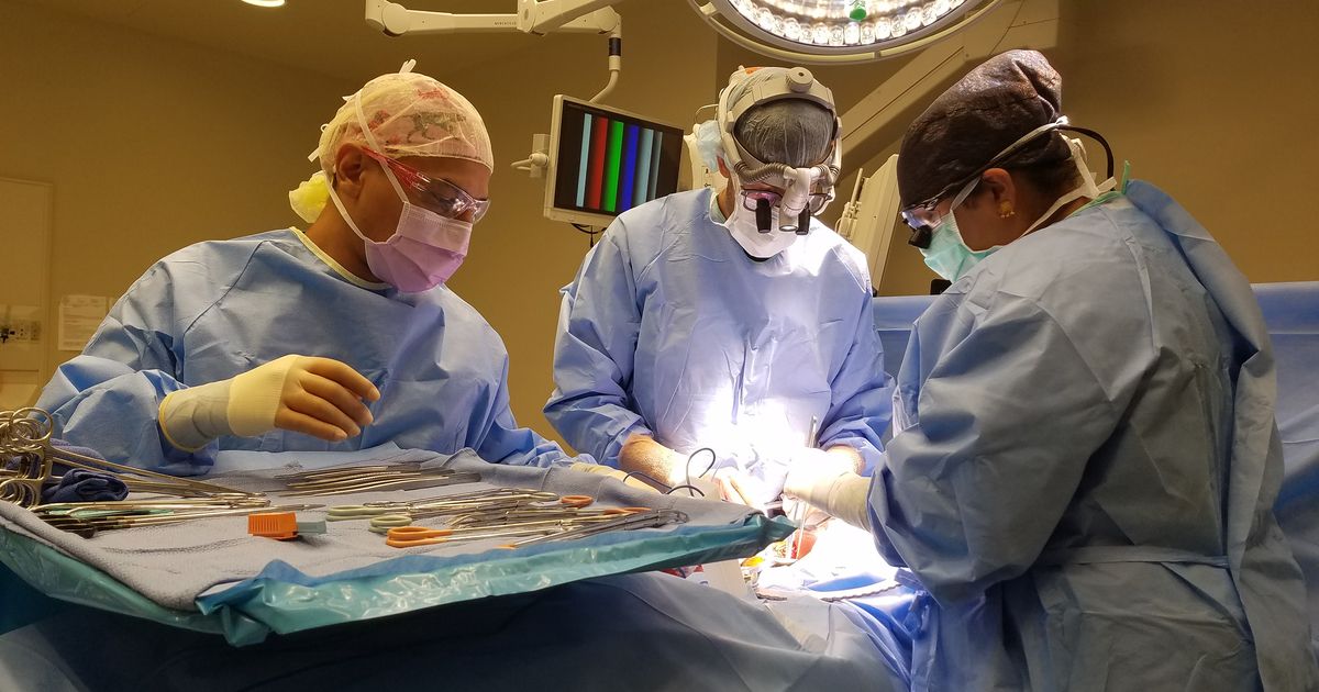 New quality measures for organ transplantation finalized | Modern ...